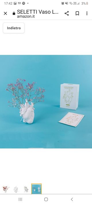 vaso fiori