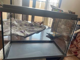 Acquario + accessori