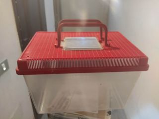 Vaschetta per pesciolini rossi