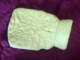 Set accessori per cane