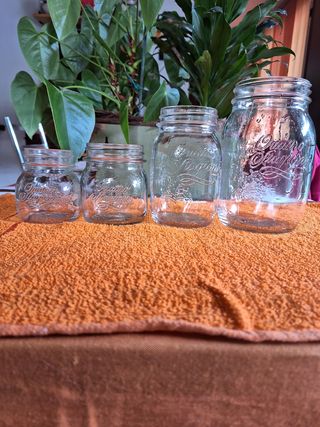 vendo vasi Bormioli 4 stagioni