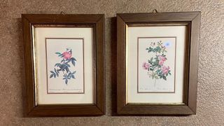 Coppia quadretti vintage