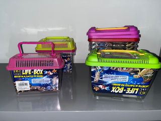 set 8 vaschette per pesciolini