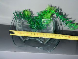 mini boccia per pesciolini in vetro