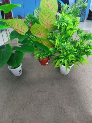 Set 3 piante artificiali