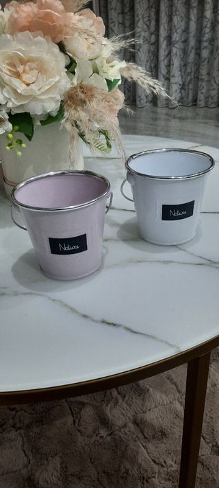 2 vasetti da giardino