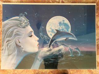 Stampa incorniciata quadro fata delfino