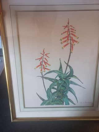 Coppia acquerelli vintage firmati