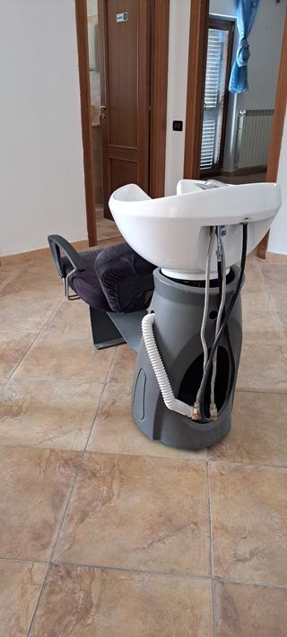 lavatesta professionale