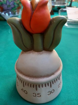 Timer Cucina Thun.     3euro