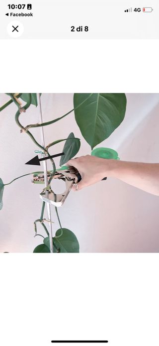 pinza legatrice vigna pomodori multiuso