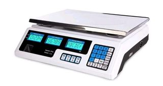 Bilancia Elettronica Digitale Professionale 40 KG