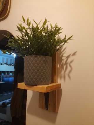 SUPPORTO PIANTE DA PARETE