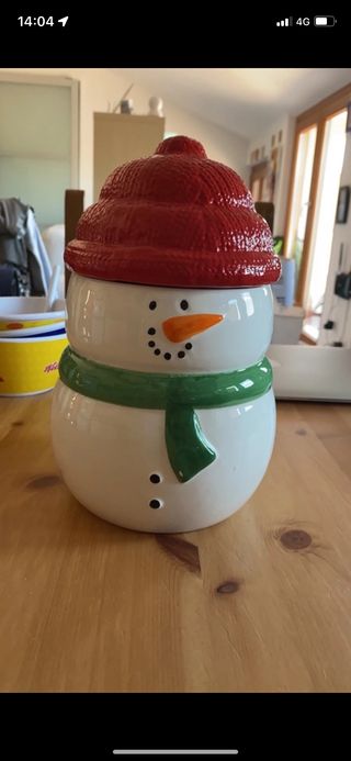 Biscottiera Flying Tiger