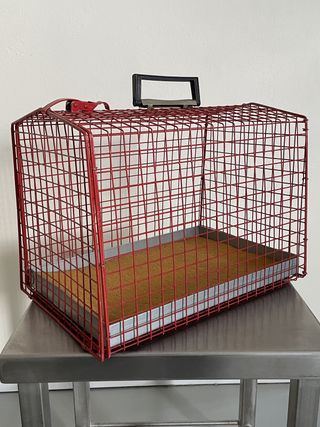 Trasportino per gatto/coniglio