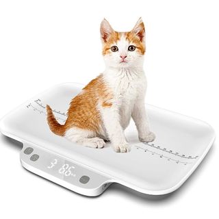 bilancia digitale per animali domestici righello