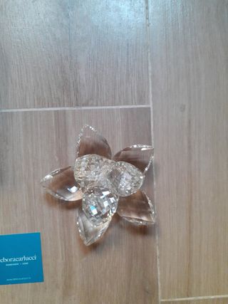 Fiore Debora Carlucci