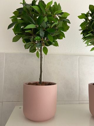 Coppia piante finte con vasi inclusi