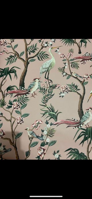 Carta da parati rosa chiaro con stampe 0,53x700