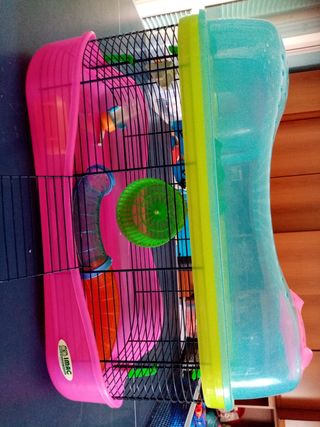 Gabbia per criceti