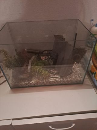 acquario vetro completo