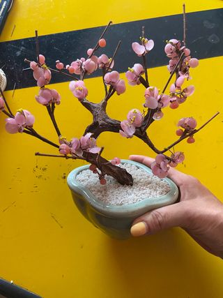 Pianta Vintage con fiori rosa