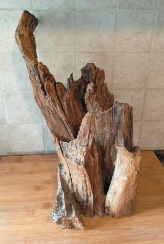 Grande legno naturale decorativo