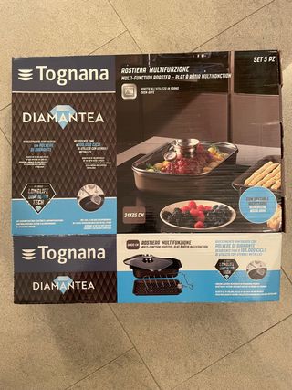 Rostiera Multifunzione - Tognana