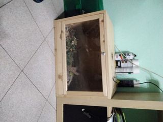 Terrario in legno artigianale