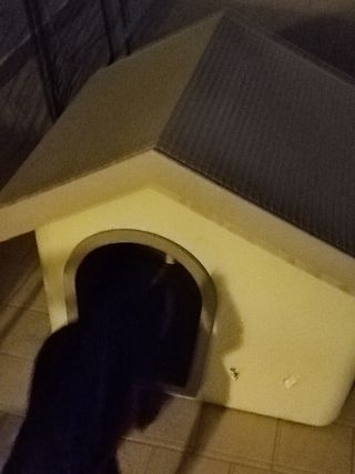 cuccia da esterno per cane di media taglia in PVC.