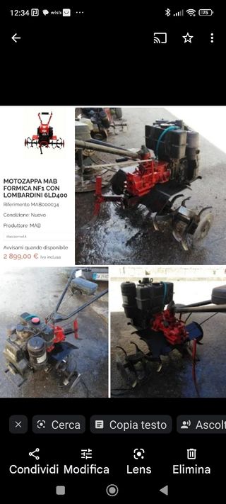 Motozappa 10 CV diesel