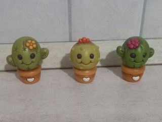 Piantine cactus Thun