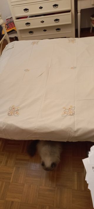 bella tovaglia ricamata nuova con 6 tovaglioli