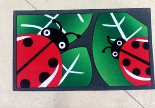 zerbino gomma coccinella 🐞