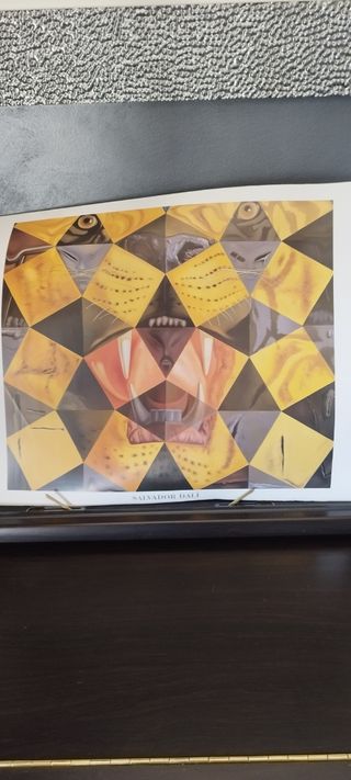 Stampa Salvatore Dalì