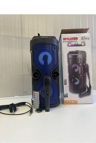 Cassa karaoke 3000 w