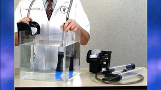 Aspira rifiuto acquario