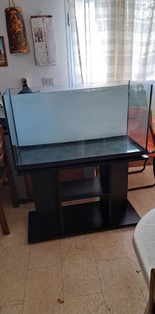 Acquario
