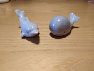 Delfino e balena Shoten