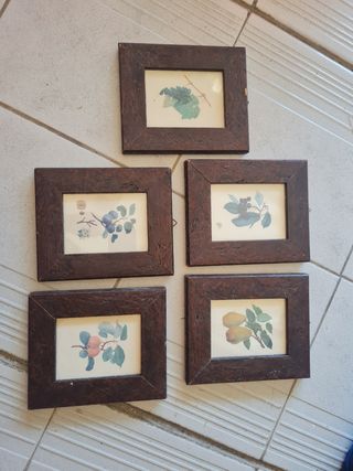 Quadri rustici floreali