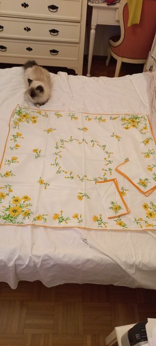 PICCOLA TOVAGLIETTA NUOVA  PER DUE