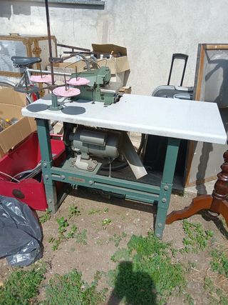 tagliacuci rinoldi professionale