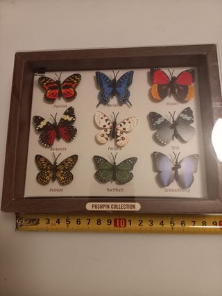 Puntine a forma di farfalle