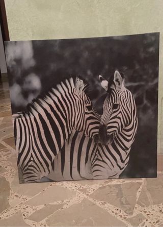 quadro zebrato nuovo