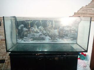 Acquario 300L