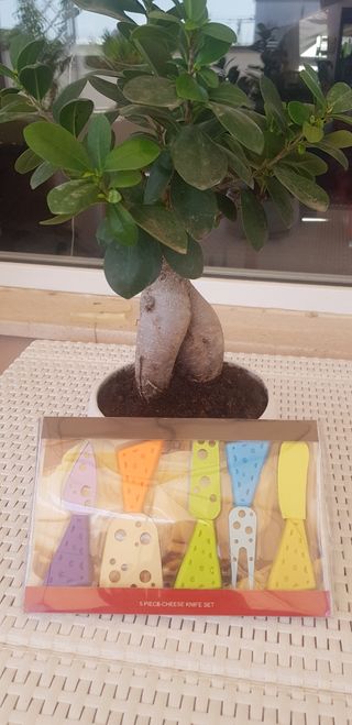 SET COLTELLI PER FORMAGGI