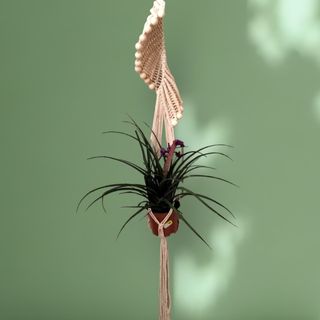 Porta vaso in macramè