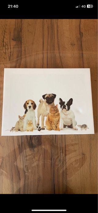 quadro animali