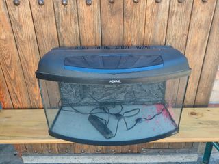 Acquario 60lt neon sistema filtrante