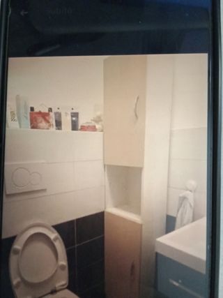 Mobile colonna salva spazio bagno (Roma)